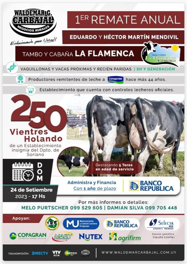 1º Remate Anual de Eduardo y Héctor Martín Mendívil – Sociedad ...